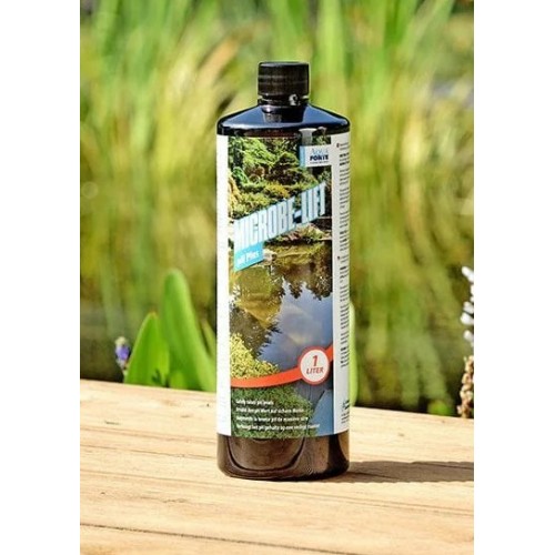 Microbe-Lift pH+ 1 litre - Traitement de l'eau - MICROBE-LIFT