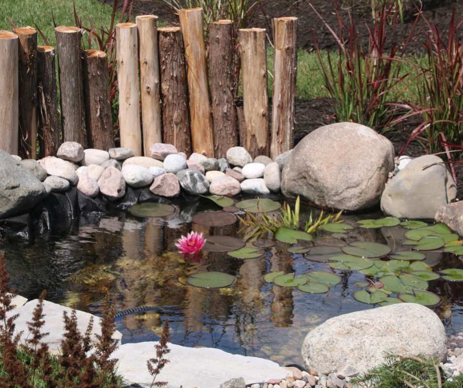 Création d'un Bassin de Jardin : Du Rêve à la Réalité avec Garda Aquatic